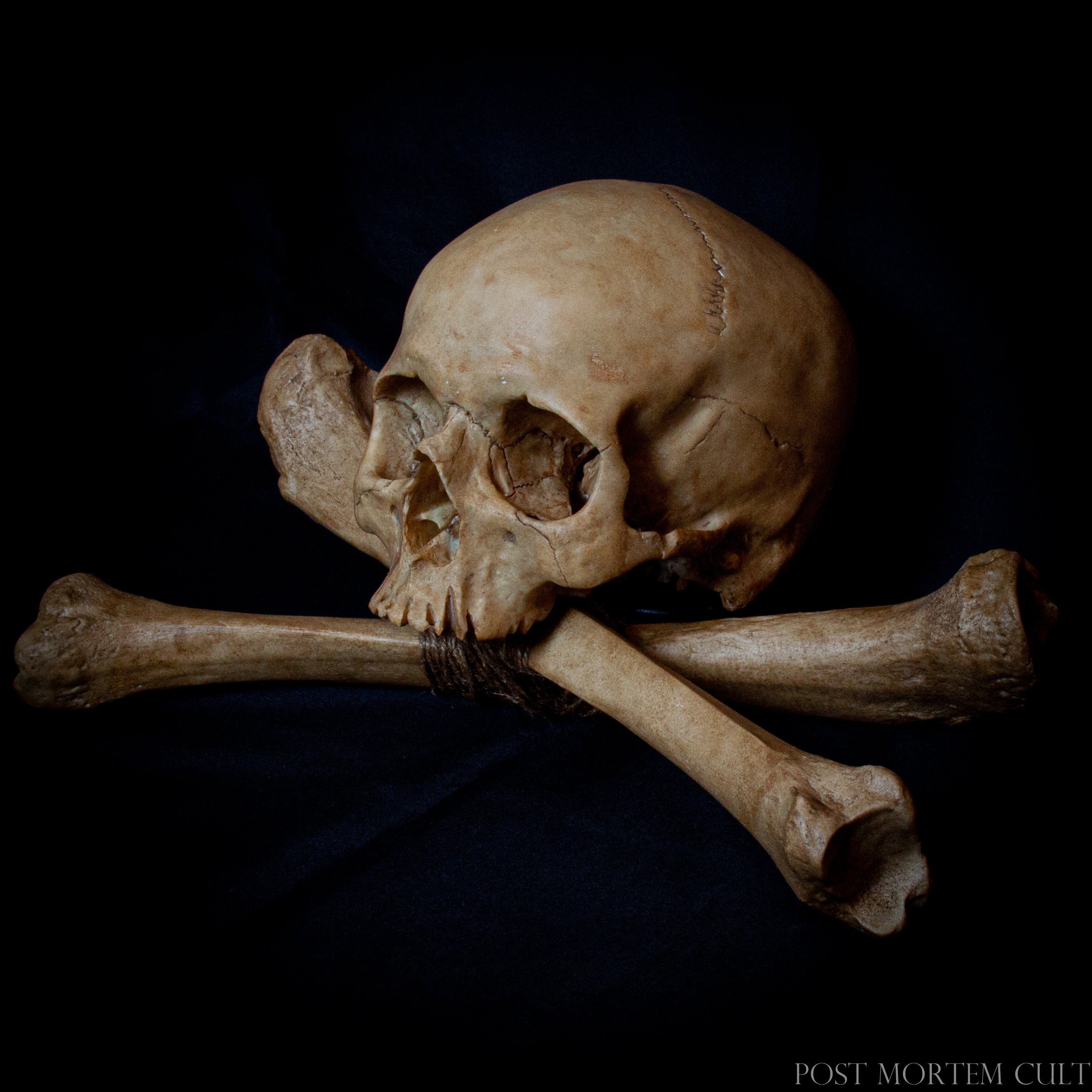 Ossuary: Human Bone Replicas for Collectors – Post Mortem Cult