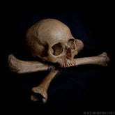 Human Skull Replicas – High Realism Anatomical Models – Post Mortem Cult